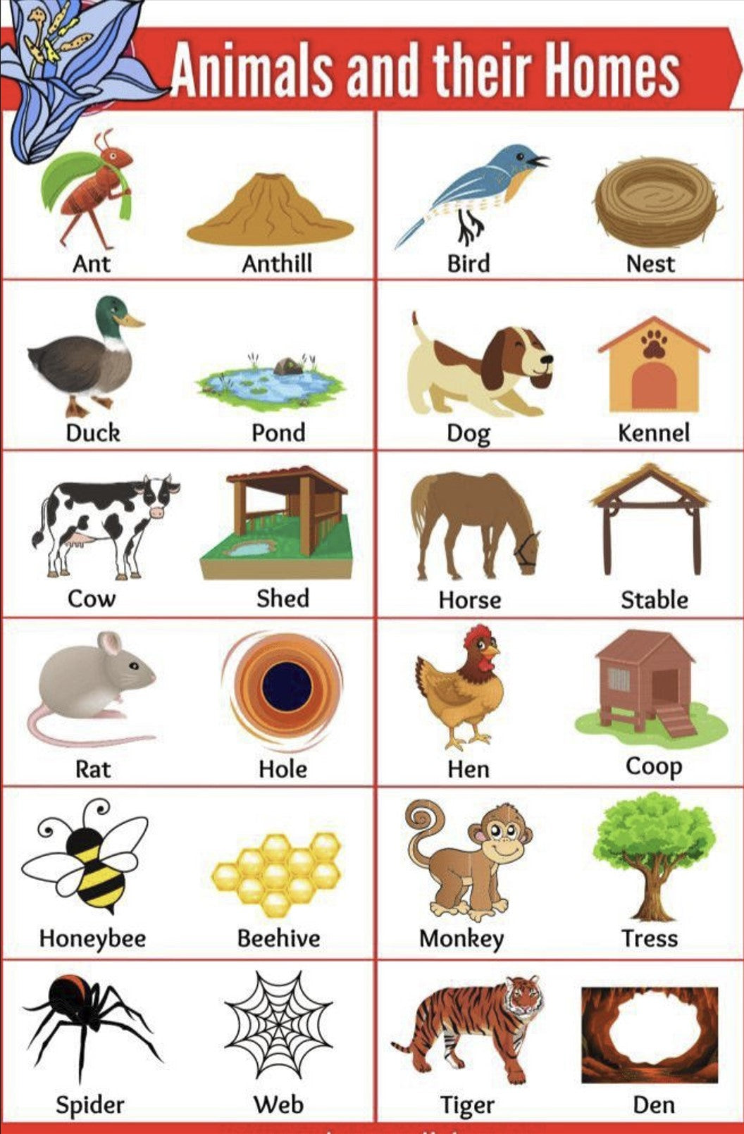 Animals Homes – Tangleby Gardens