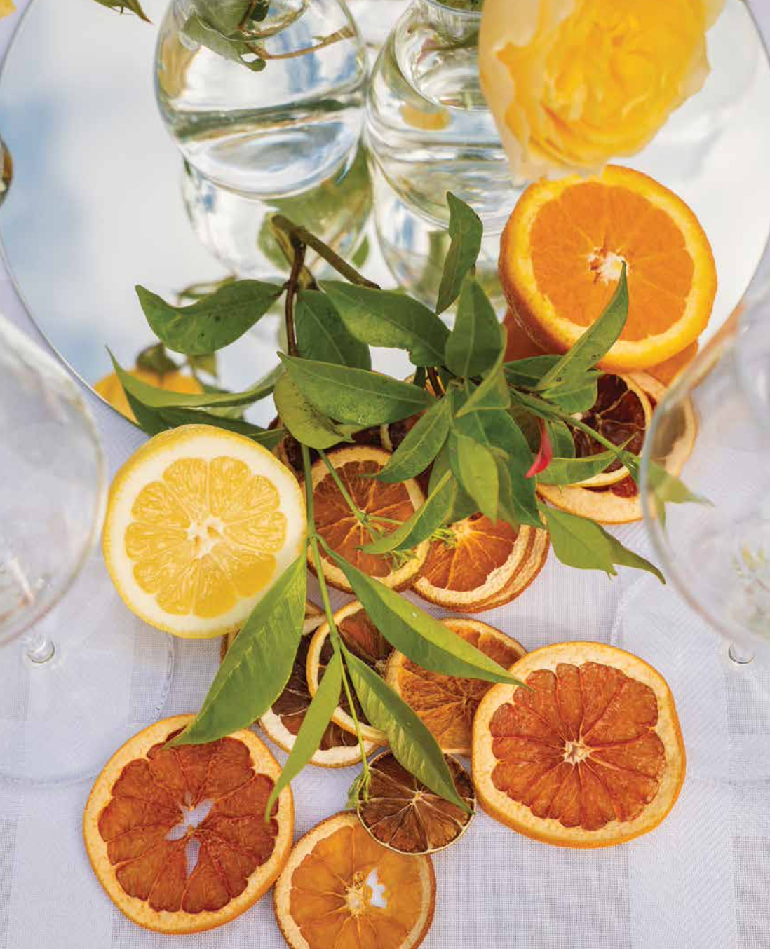 dried citrus slices – Tangleby Gardens